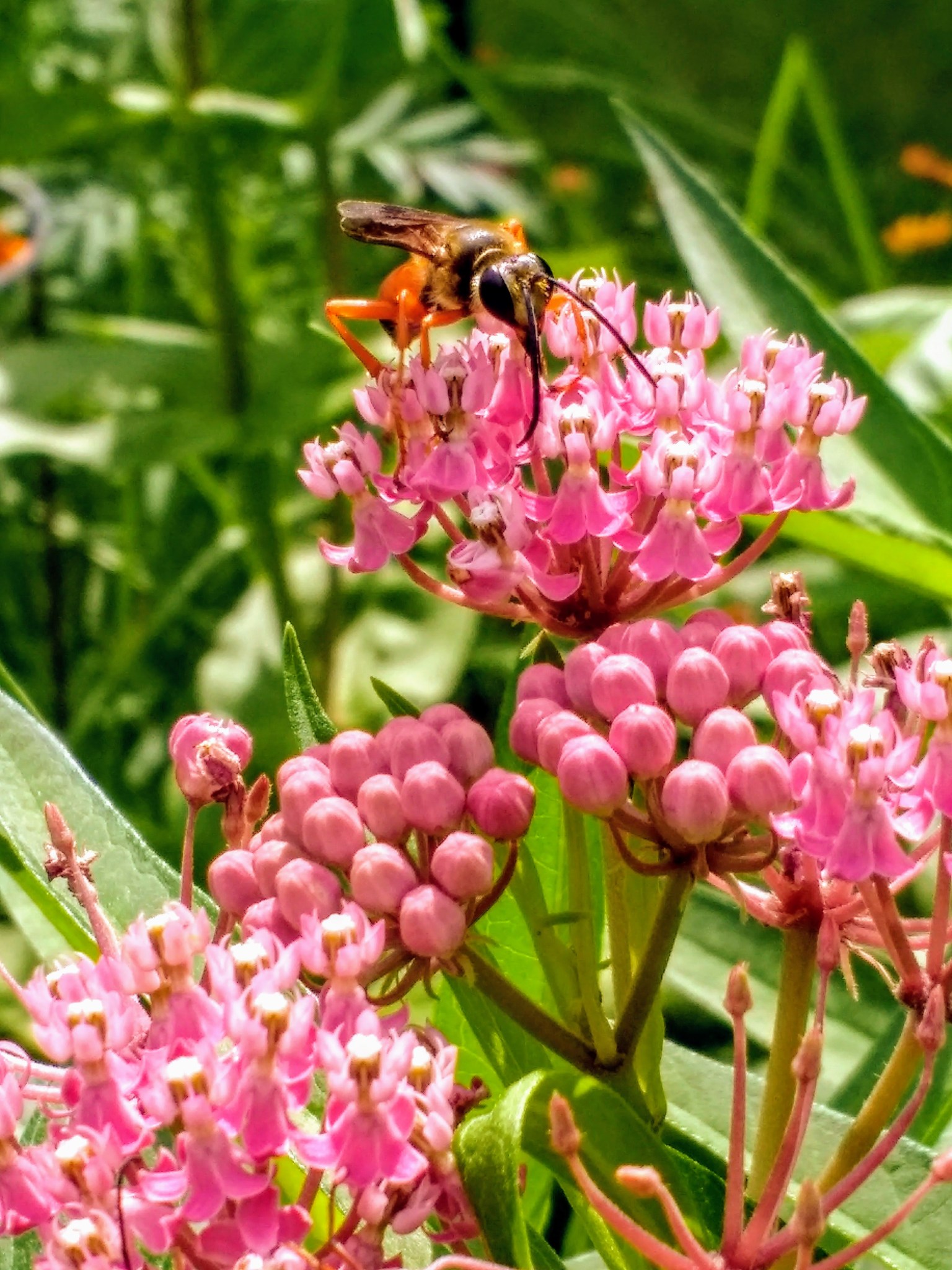 Blog – Perkins Park